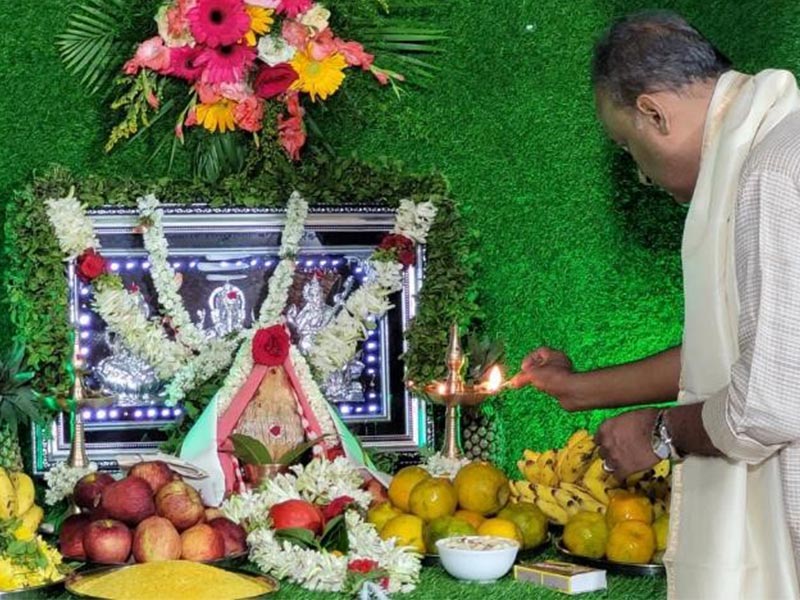 Festival – KDDL Ltd.